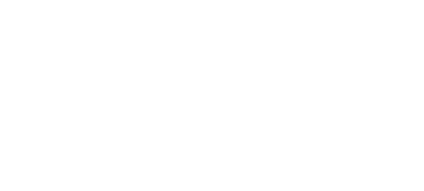 Pro-X | A better way to fly - Cesaroni Technology Incorporated